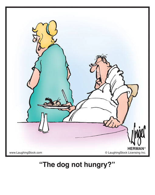 The dog not hungry? – LaughingStock