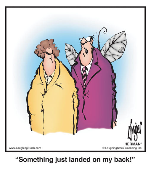 Something just landed on my back! – LaughingStock