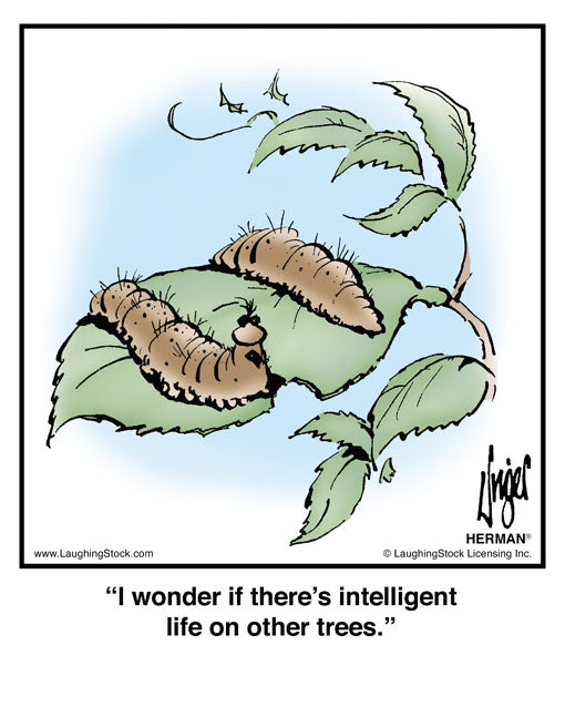 I wonder if there’s intelligent life on other trees. – LaughingStock